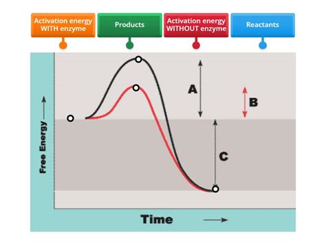 Enzyme Activity Graph Labeling Labelled Diagram