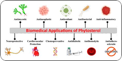 Phytosterols In Seaweeds An Overview On Biosynthesis To Biomedical