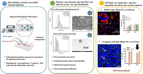 Microfluidic Engineered Plaplga Nanocarriers For Cellular Tracking Plga Nanoparticle Nanocarriers