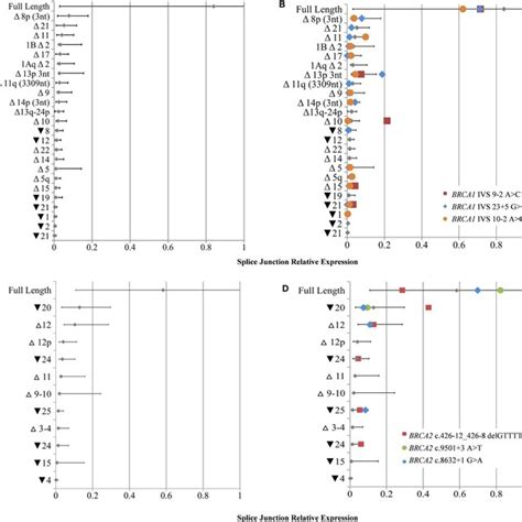 Relative Expression Of Brca1 And Brca2 Mrna Isoforms In Rare Variant Download Scientific