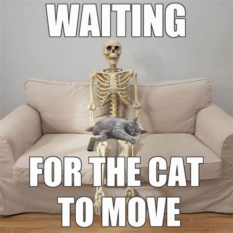 25 Funny Skeleton Waiting Memes That Will Make You Laugh