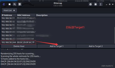 网络安全入门学习第十课——dns欺骗 Csdn博客 网络安全入门学习第十课——dns欺骗 Csdn博客
