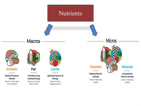 Nutrients And Its Classification Pptx