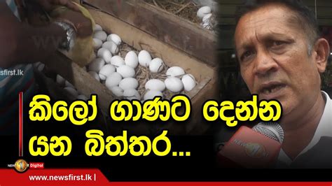 කිලෝ ගාණට දෙන්න යන බිත්තර Youtube