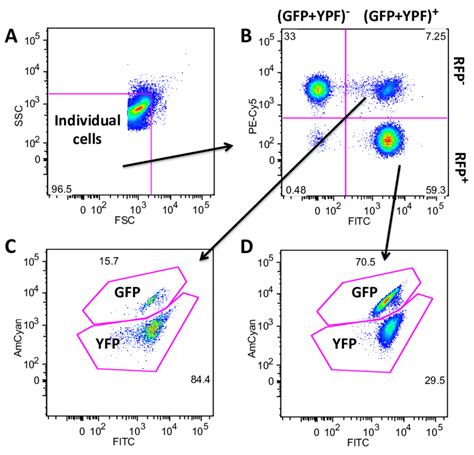 Figure B2 Example Of Flow Cytometry Analysis In Each Graph Each Download Scientific Diagram