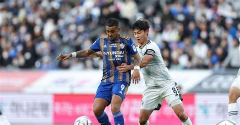 마틴 아담 동점 결승포 울산 전북에 2 1 역전승 승점 8점차 오쎈현장