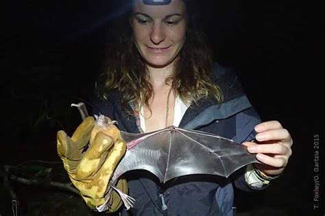 Rest Orientdb Parsing Through Traverse Commands Output In Javascript Stack Overflow