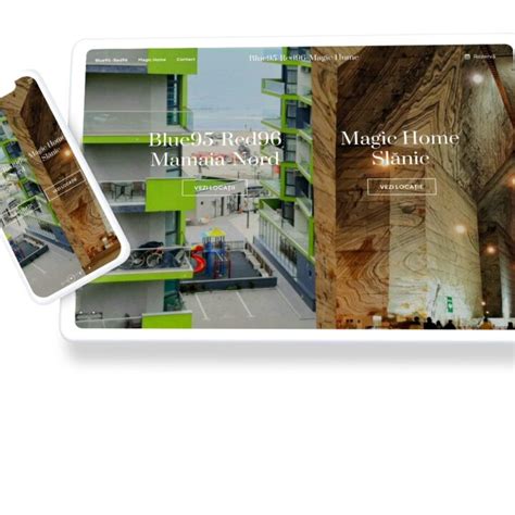 Cosmin Cristescu Domware Technologies