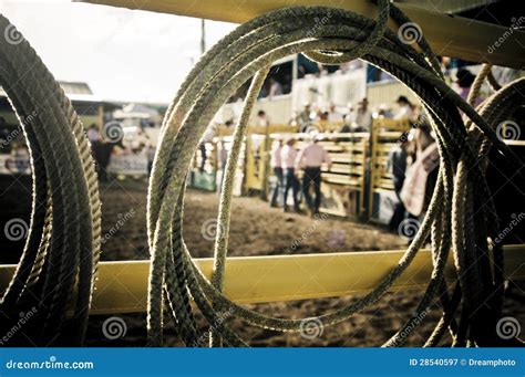 Lasso Rope Rodeo Stock Image Image Of Noose Reata Bolo 28540597