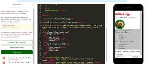 Freecodecamp Challenge Guide Give A Background Color To A Div Element