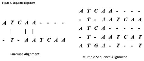 The Traditional Alignment Methods Can Be Characterized Into