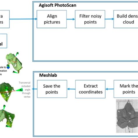 Workflow For Image Processing And Data Extraction To Determine Leaf Download Scientific Diagram