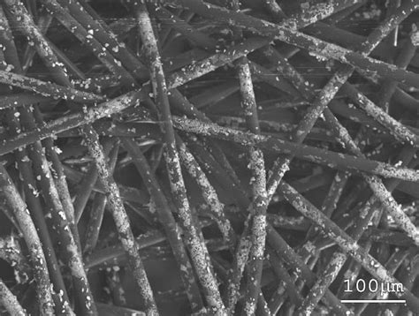Sem Micrographs For Double Treatment Of The Sample In Cuno 3 2