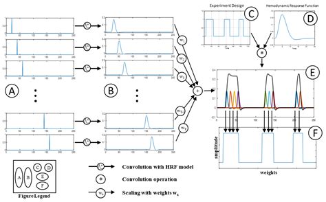 Visualization Of The Dynamic Brain Activation Pattern During A Decision Making Task