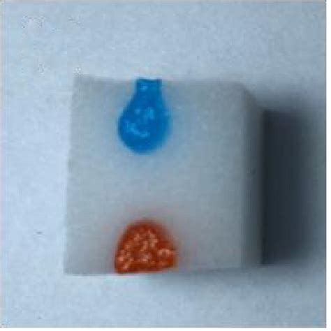 Superwetting Of Pdms Coated Sponge A Amphiphilic Property Of Download Scientific Diagram