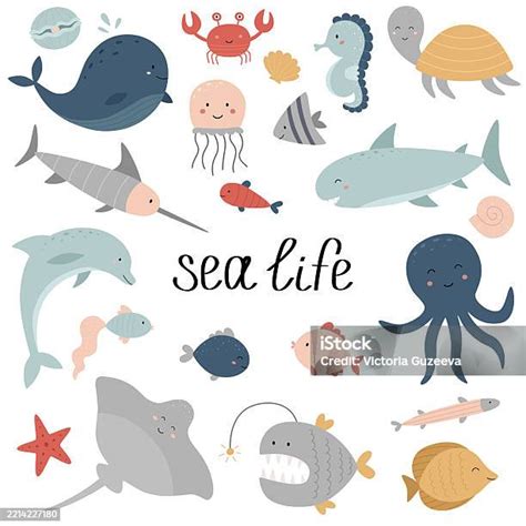 바다에 사는 사람들의 집합입니다 해양 생물 고래 황새치 거북이 해마 노랑가오리 돌고래 상어 해파리 물고기 조개 게 진주 문어 불가사리 거북이에 대한 스톡 벡터 아트 및 기타