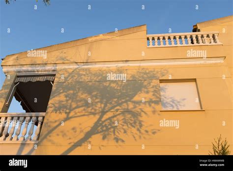 Shadow Of A Tree In A Building Stock Photo Alamy