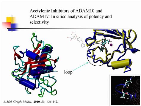 Dr Eamonn F Healy Professor Of Chemistry St Edwards University