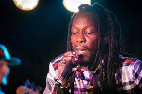 Reggae And Ska Festival Victorias Vibrant Celebration Of Sound
