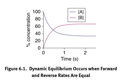 Chapter 6 Equilibrium Flashcards Quizlet