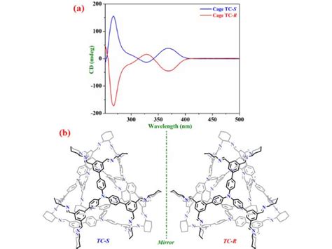 Circular Dichroism Plot At Lynne Griffin Blog