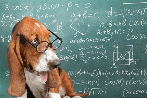 Python関数について応用編