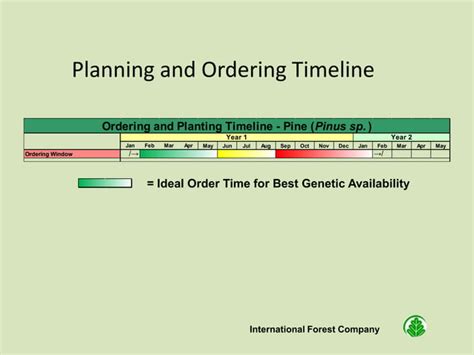 Containerized Seedlings Pptx