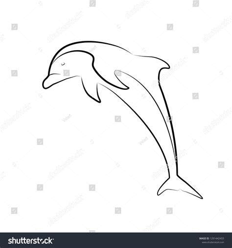 Outline Illustration Jumping Dolphin Line Art เวกเตอร์สต็อก ปลอดค่าลิขสิทธิ์ 1291442455