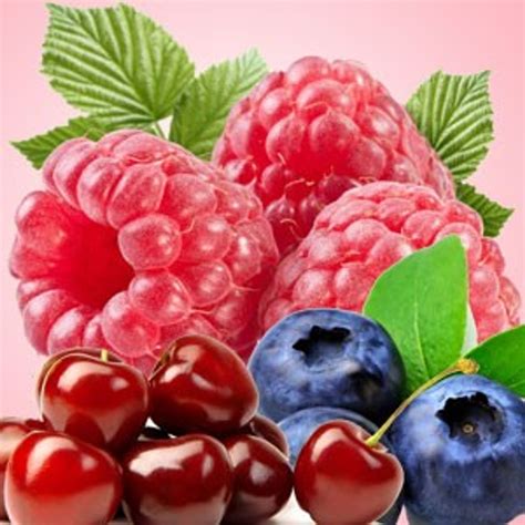 Lick Me All Over Fragrance Oil Natures Garden Candles