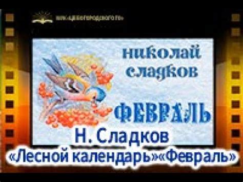 Читаем книгу Н. Сладкова «Лесной календарь». «Февраль». - YouTube