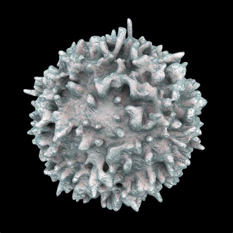 Lymphocyte Closeupsikt Av T Cellen Eller B Cell Stock Illustrationer