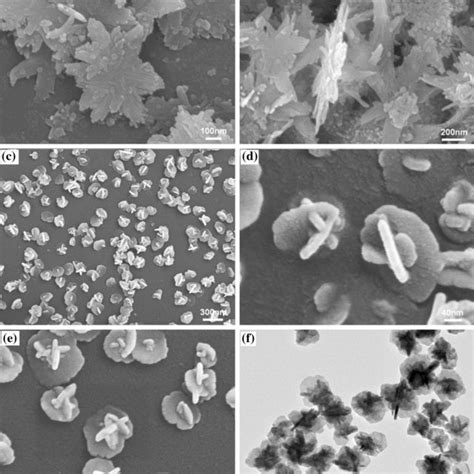 Eds Patterns Of Cus S Nanoplates A And Cus Superstructures B Download Scientific Diagram