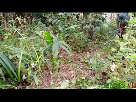 Cought Having Sex With A Farmer In The Forest XVIDEOS COM