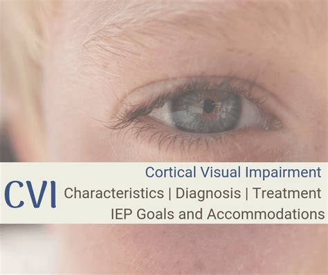 Pin On Cortical Vision Impairment Resources