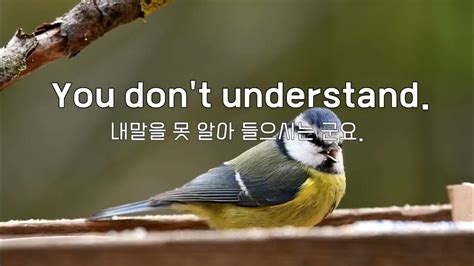 짧은문장 통합편 11~15 짧은 문장 연속듣기 짧아서 외우기 쉬운 기본영어 기초 영어표현 짧고 쉬운문장으로 왕초보 탈출하기 꼭알아야 하는 기초 필수영어