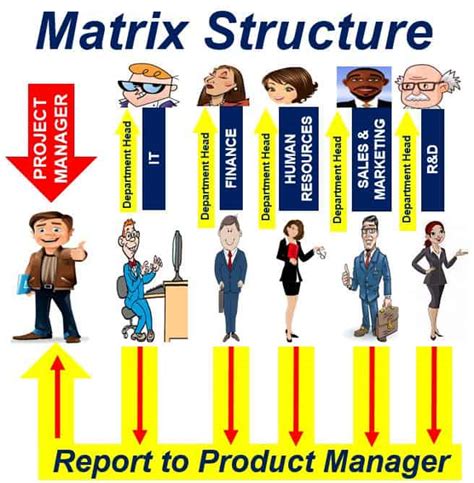 What Is A Matrix Organization Definition And Meaning Market Business News