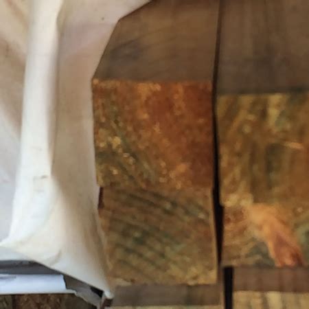 Treated Pine Posts 10 Metre Northern Timber Supplies