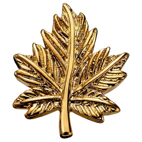 Dianthus Gold Tone Leaf Lapel Pin In Stock Trendhim