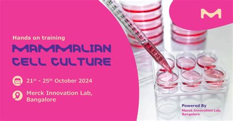 Ankur Gautam Ph D On Linkedin The Mammalian Cell Culture Techniques