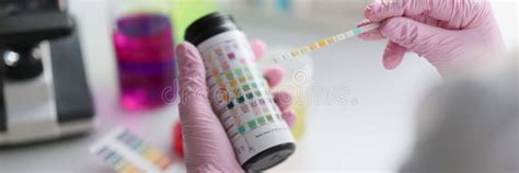 Scientist Hold Litmus Test Paper For Soil Analysis Litmus Paper Show Acidity Chemical Analysis
