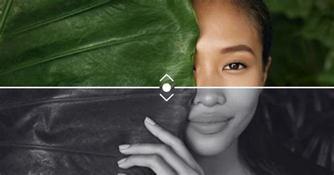 How Do I Add A Custom Slick Slider In Wordpress