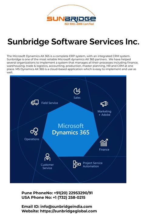 Microsoft Dynamics Costs Holisticpoh