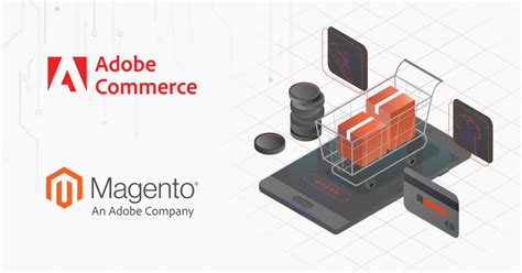 Magento Ecommerce Integration Explained Methods