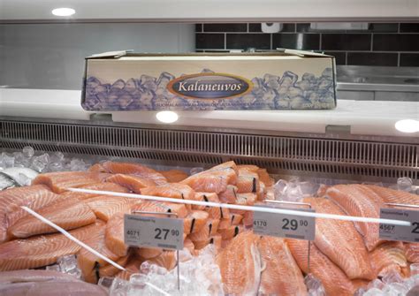 20161129 0363 Hires Stora Enso Oyj