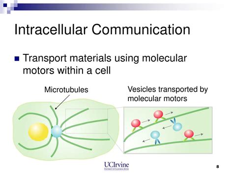 Ppt A Design Of A Molecular Communication System Using Biological