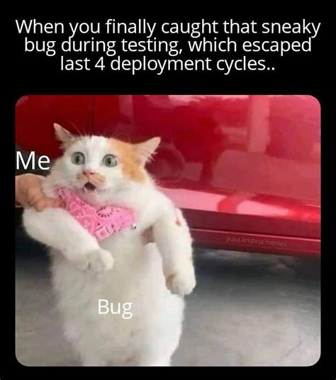 Programming Era 🚀👨‍💻 • Instagram Photos And Videos