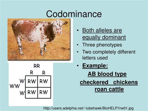 Ppt Complex Inheritance Patterns Powerpoint Presentation Free