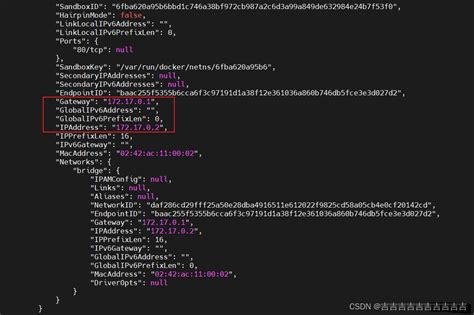docker容器之基础命令 docker查看nginx版本 csdn博客
