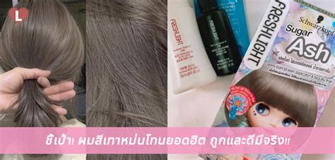 ชี้เป้า ผมสีเทาหม่นโทนยอดฮิต ถูกและดีมีจริง Ladyissue เว็บรีวิวเครื่องสำอาง ชุมชนผู้หญิง ฮา